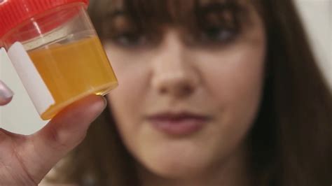 Find Out More About Our Vocational Courses Apprenticeships Traineeships Higher Education