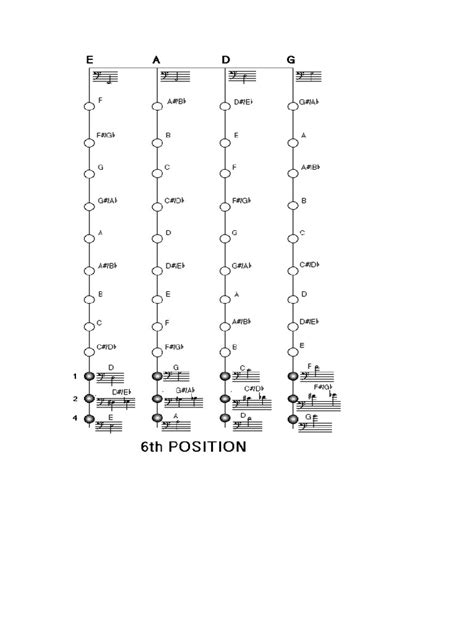 bass 6th position pdf