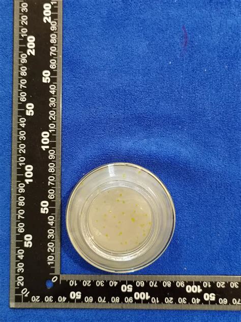 口红 粉底 唇膏 唇彩 唇蜜 唇釉 化妆品配方及成分分析 知乎