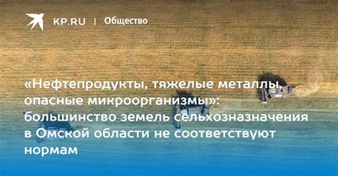 «Нефтепродукты тяжелые металлы опасные микроорганизмы большинство земель сельхозназначения в
