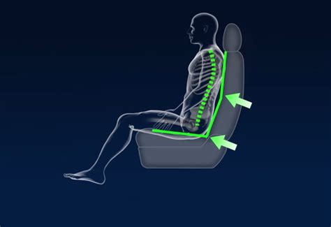 Lumbar Support Gallery In Connecticut Attention To Detail