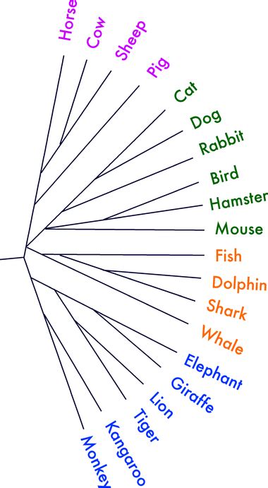 Verbal Fluency Test Wikipedia