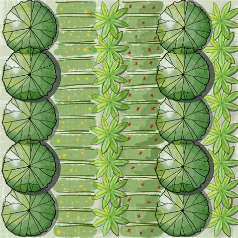 Agroforestry In Plan Permaculture