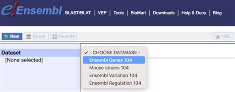 Bulk Export Of Ensembl Data With Biomart Demo