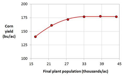 Optimal Corn Plant Populations In Minnesota Umn Extension
