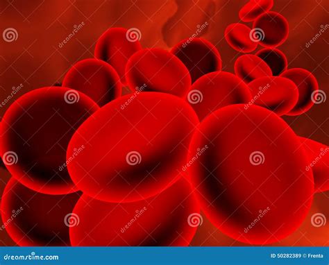 Eritrociti Illustrazione Di Stock Immagine 50282389