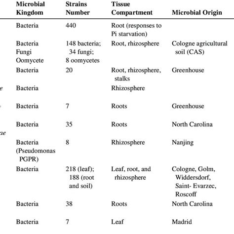 Collection Of Some Microbial Strains Used In Syncom Research Download Scientific Diagram