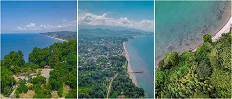 ბათუმის ბოტანიკური ბაღი