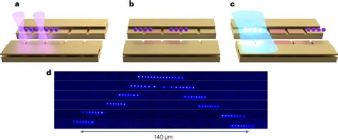 Nat Phys Intermediate Circuit Measurements Demonstrate Quantum