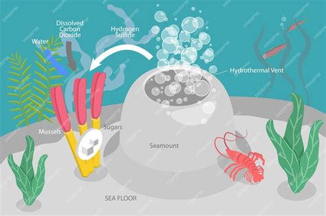 Premium Vector D Isometric Flat Vector Conceptual Illustration Of Chemosynthesis Hydrothermal Vent