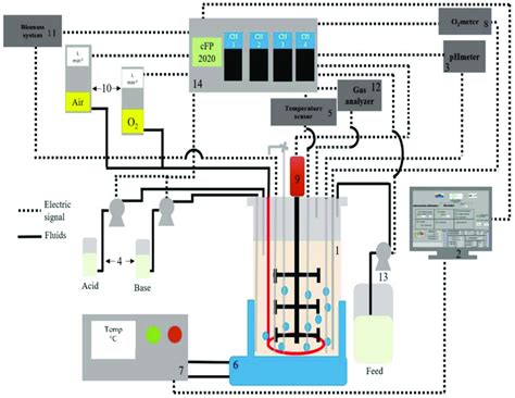 Bioreactor Set Up Scheme Download Scientific Diagram