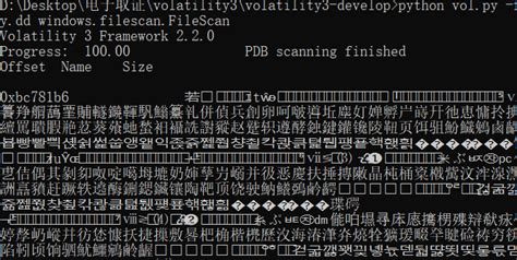 Volatility3 Windows插件 Wxjzc 博客园