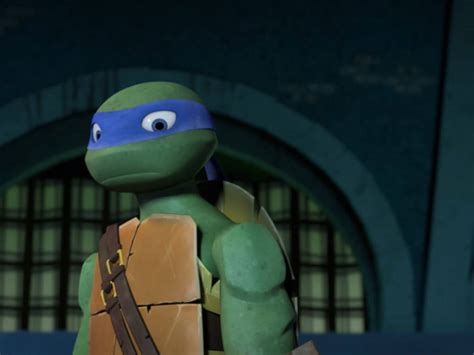 Tmnt Leo And Sal Commander  By Ninjaturtlefangirl On Deviantart