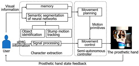 A Semi Autonomous Hierarchical Control Framework For Prosthetic Hands