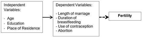 Conceptual Framework Download Scientific Diagram