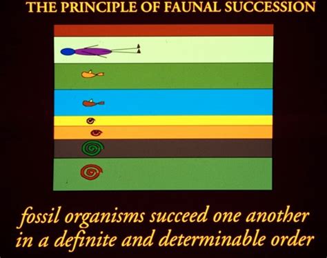 Principle Of Faunal Succession