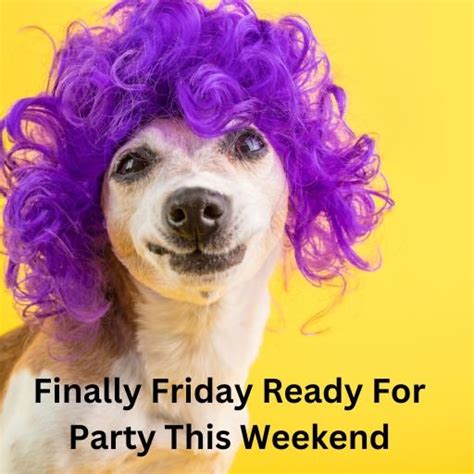 Friday Memes 40 Funny Friday Feels For Fly