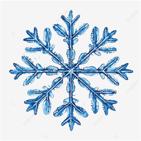 Blue Snowflake Symbol In Nature Snowflake Nature Winter Png
