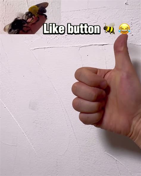 like button animation😂🐝 shorts youtube
