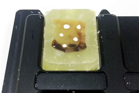 Arrayit Corporation Aryc Products Dna Microarrays Microarrays Life Sciences Diagnostics