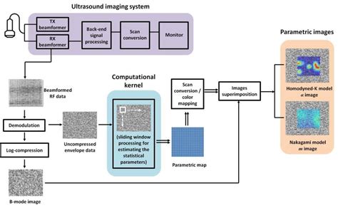 Algorithmic Steps For Constructing The Homodyned K α Parametric Image Download Scientific