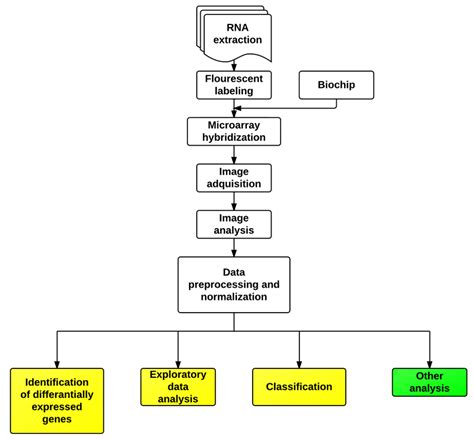3 flow of a typical microarray experiment the rnas are extracted and