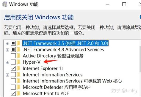 终于解决某些软件在windows平台 “不要在虚拟机中运行”的bug啦 知乎