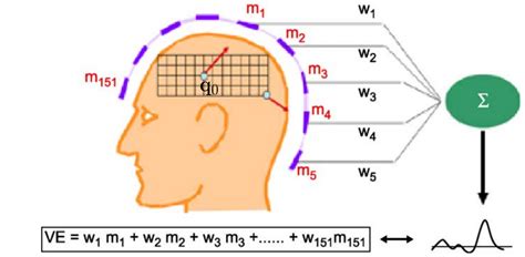 Solving The Eegmeg Inverse Problem With Beamformers Sapien Labs