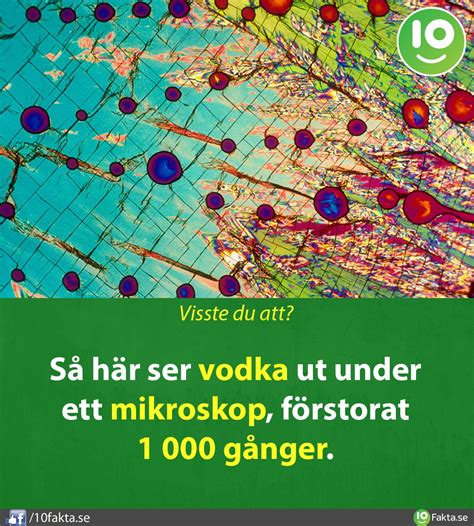 10 Nyttiga Fakta Du Behöver Veta Om Majs