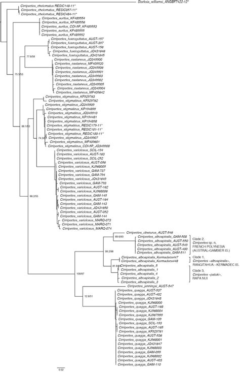 Maximum Likelihood Tree For Coi Sequences With Sequences Representative
