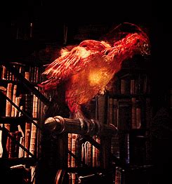 Fawkes The Phoenix — Harry Potter Fan Zone