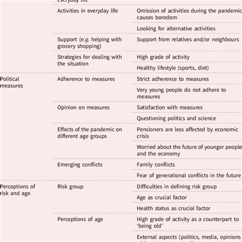 overview of categories and subcategories in the interview data