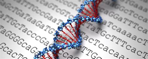 How To Design Primers For Pcr Integra