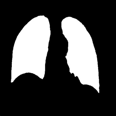 Angle Visualization Instance Segmentation Dataset By Innovation Lab