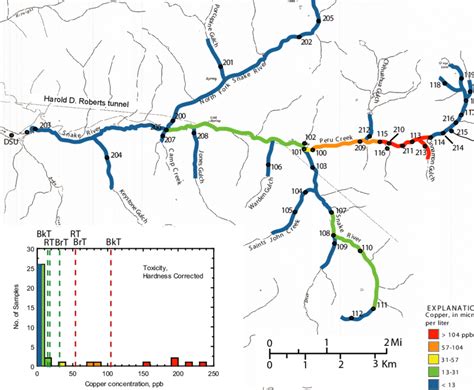 Ribbon Map And Histogram Of Dissolved Copper 045 Micron Filtered Download Scientific Diagram