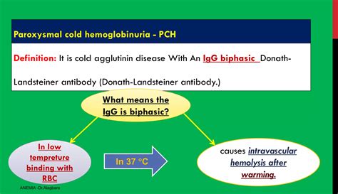 Paroxysmal Cold Hemoglobinuria Pch Pdf
