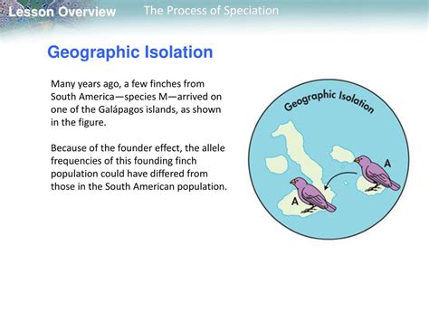 173 The Process Of Speciation Ppt Download