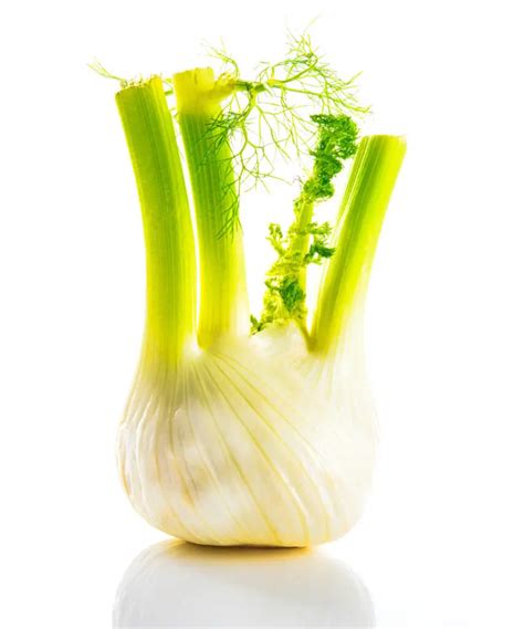 Fenchel Als Tee Oder Salat Ist Gut Für Den Magen Mld Service Eu