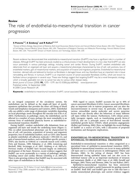 Pdf The Role Of Endothelial To Mesenchymal Transition In Cancer