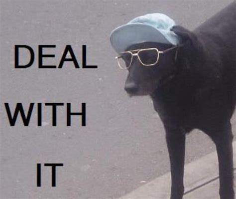 30 Hilarious Deal With It Pictures
