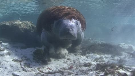 Shane Coyle Posted On Linkedin