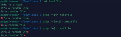 How To Use ‘grep The Complete Linux Command Guide Raspberrytips
