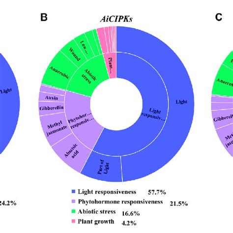 Cis Acting Elements In Peanut Cipk Genes A Assessment Of Adcipk