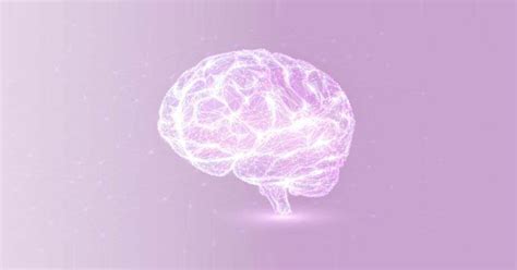 Deep Learning Vs Machine Learning In Ads Rtb House Erich Duft