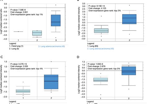 The Gene Expression Level And Copy Number Of Bub1 In Lung Download