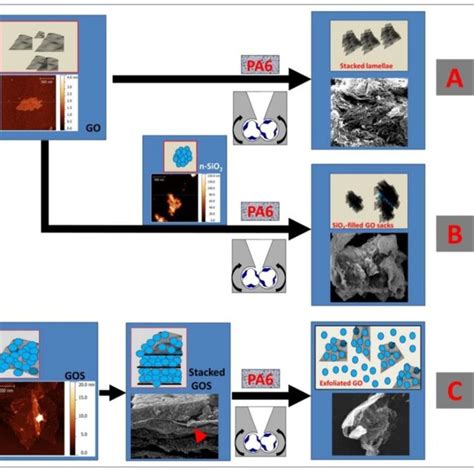 Schematics Of The Pathway Followed And Processing Structure Download Scientific Diagram