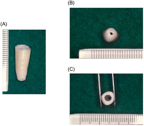 Polymers Special Issue Shape Memory Polymers