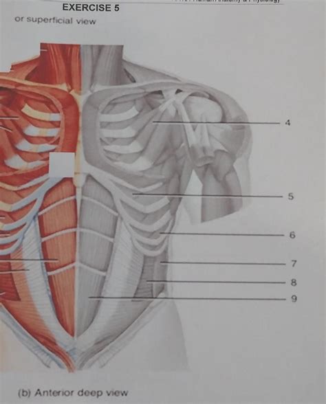 solved exercise 5 1 2 3 4 5 6 7 8 9 10 11 exercise