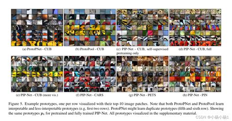 Pip Net：用于可解释图像分类的基于patch的直观原型pipnet Csdn博客