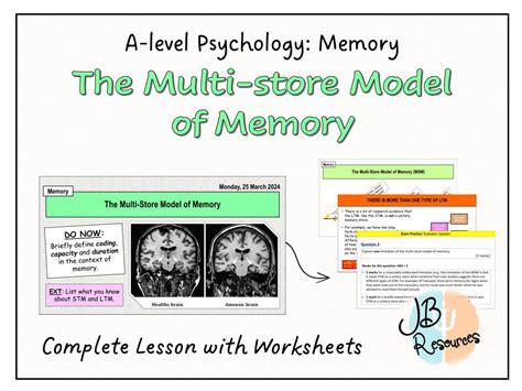 A-Level Psychology - THE MULTI-STORE MODEL OF MEMORY [Memory Topic ...